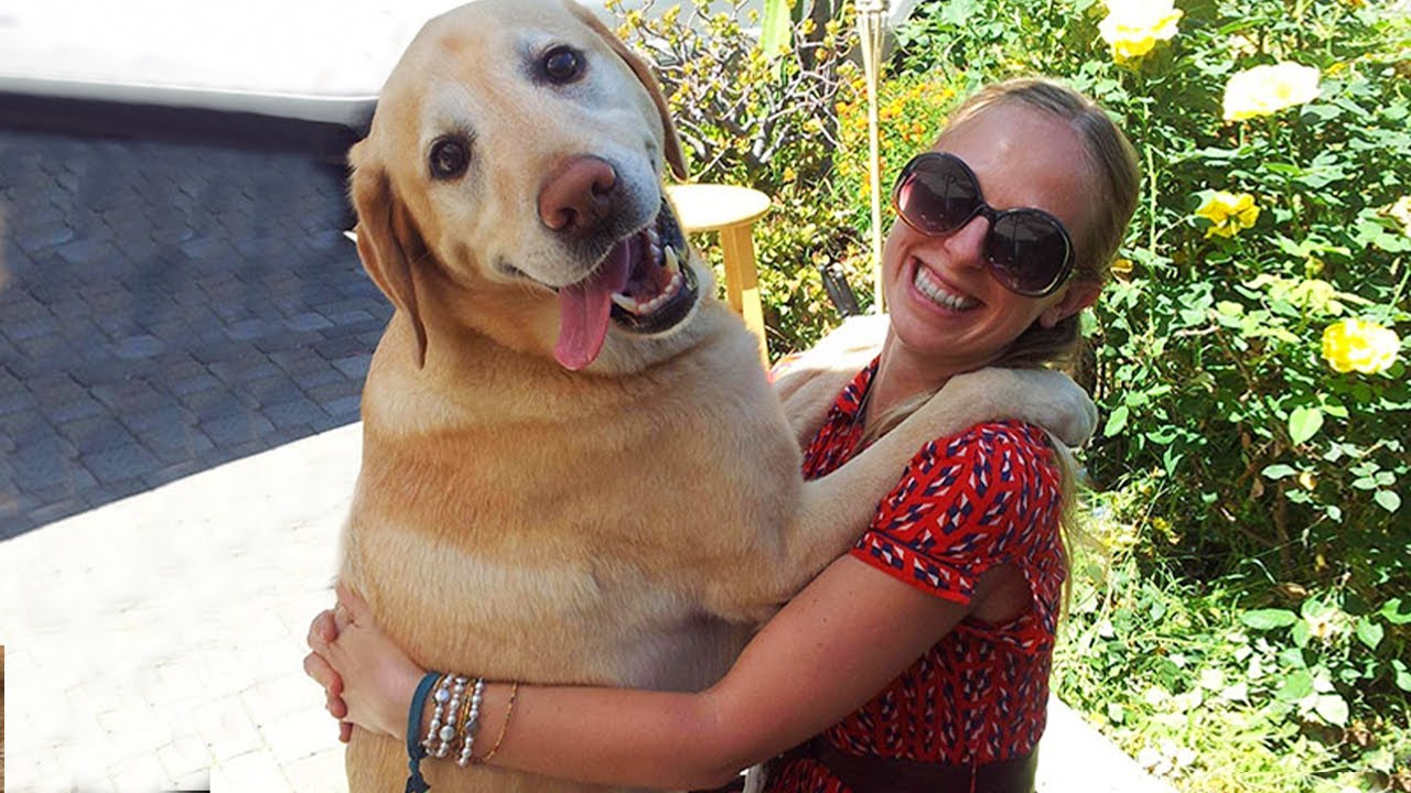This Dog Hater Turned into the Best Pet Parent