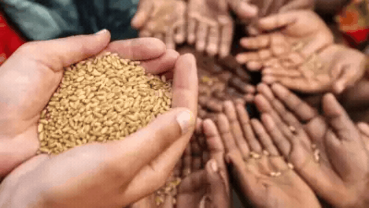 Cabinet approves MSP for 14 Kharif crops Cabinet approves MSP for 14 Kharif crops