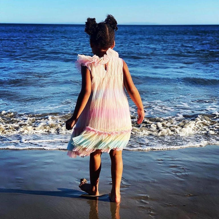 Meet Beyoncé and Jay-Z's three lookalike children: Blue Ivy, 13, and ...