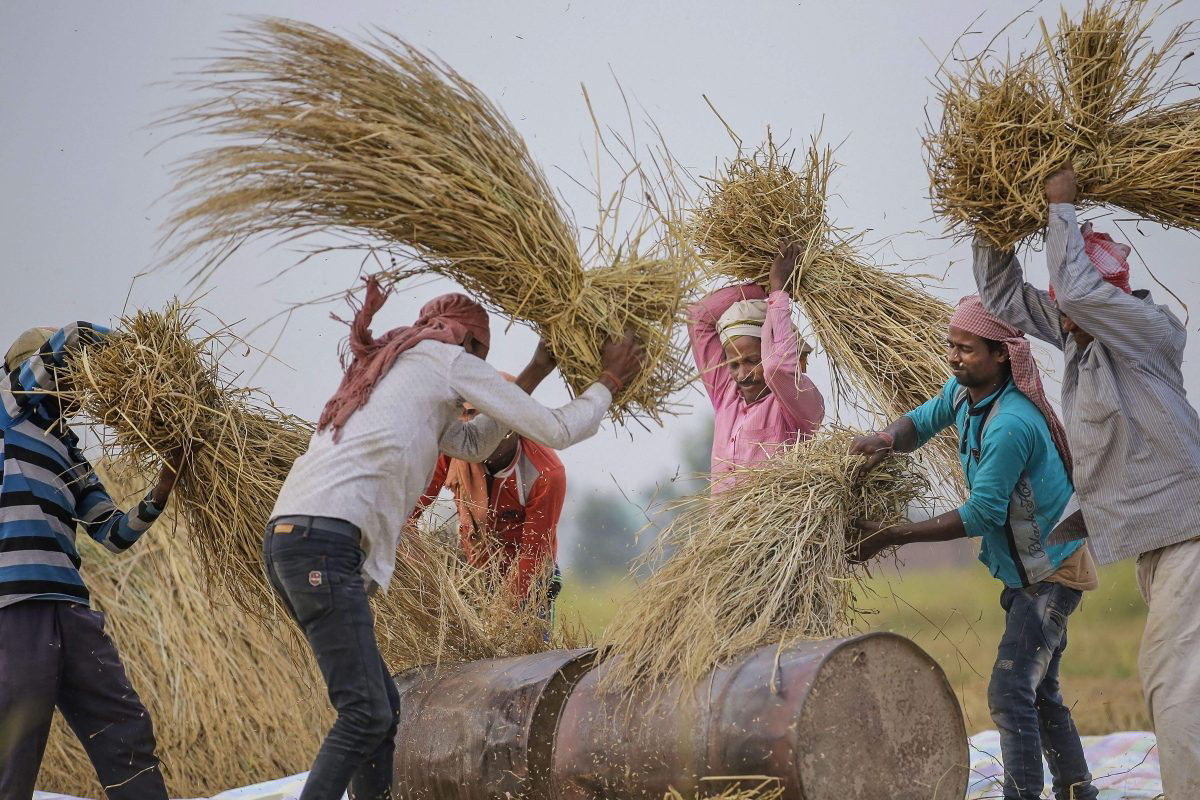 Cabinet Approves MSP For 14 crops For Kharif season, International ... Cabinet Approves MSP For 14 crops For Kharif season, International ...