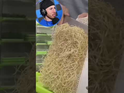 Videos reported to be highly satisfying to watch