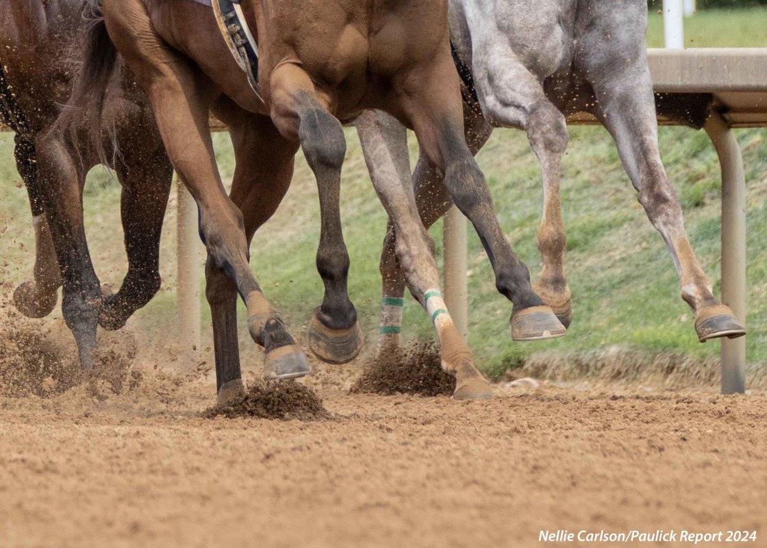From fragility to foresight: Big Data boosting racehorse safety