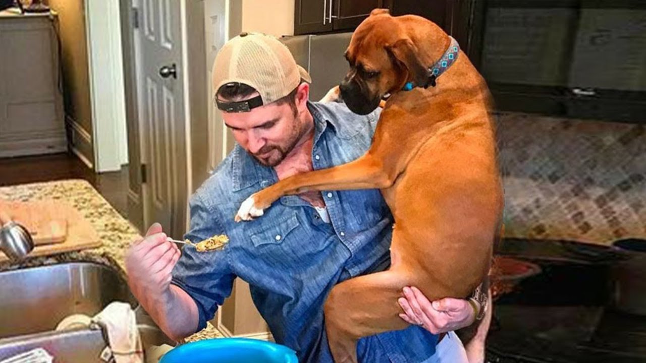 More Than a Pet—This Dog Is His Human’s Best Friend