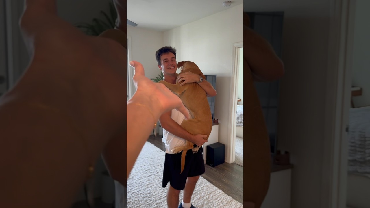 I’m Overcome With The Urge To Have A Child