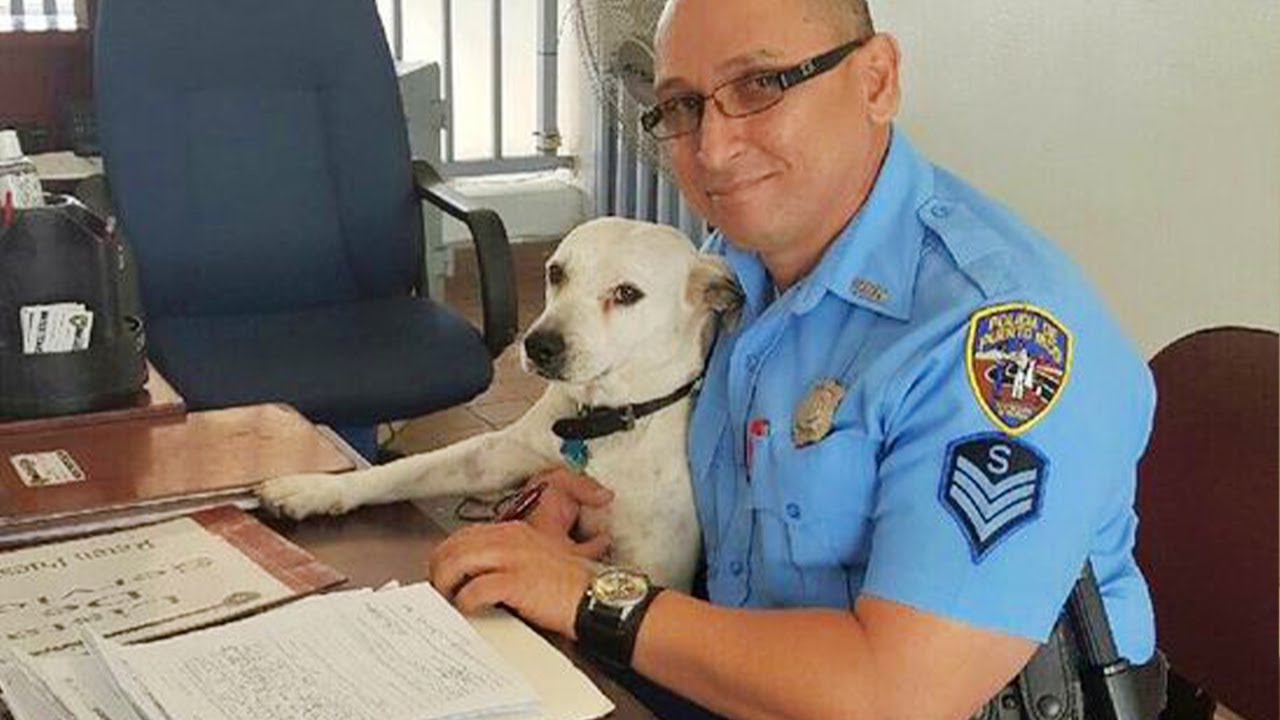 Dogs aren’t pets—they’re best friends forever