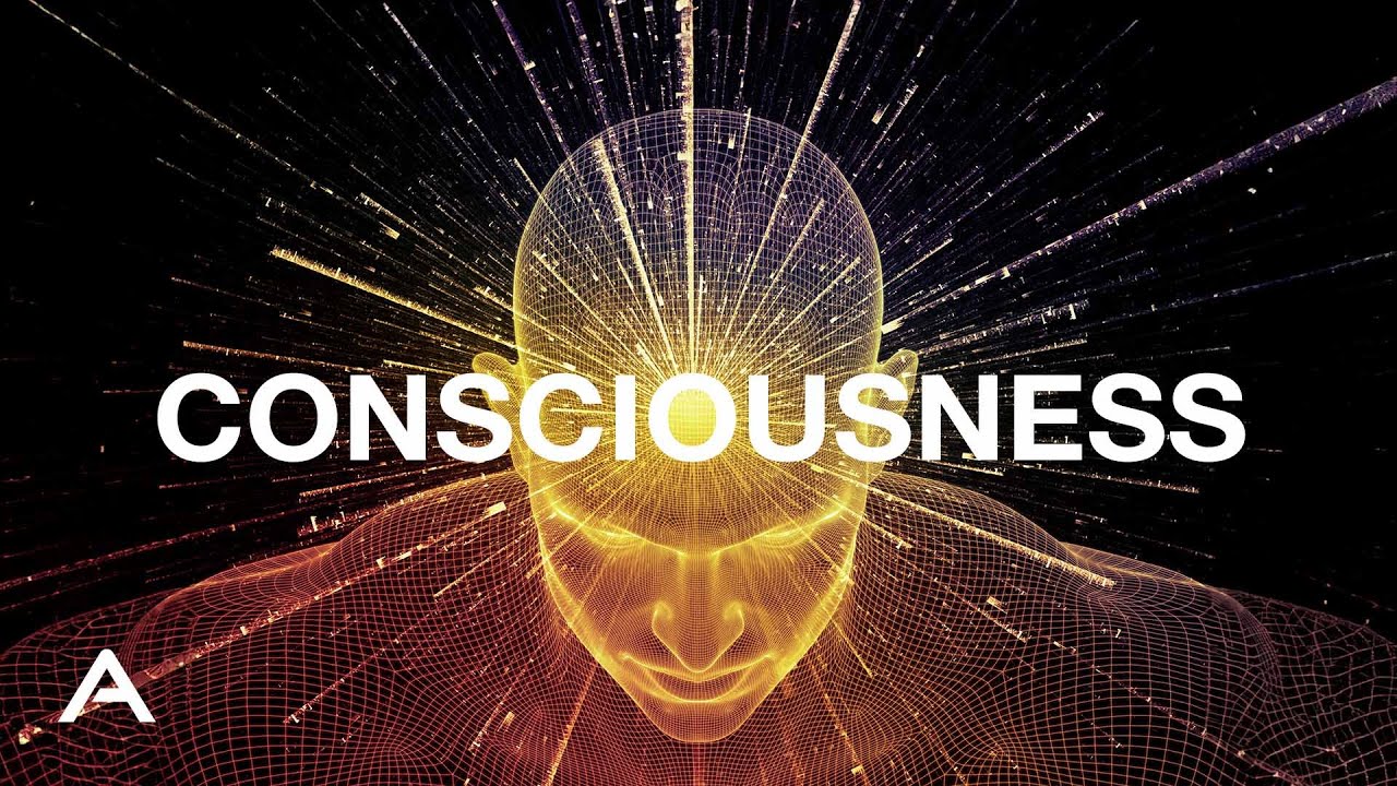 Existential Crisis: Why Are You Here? The Ultimate Search for Meaning!