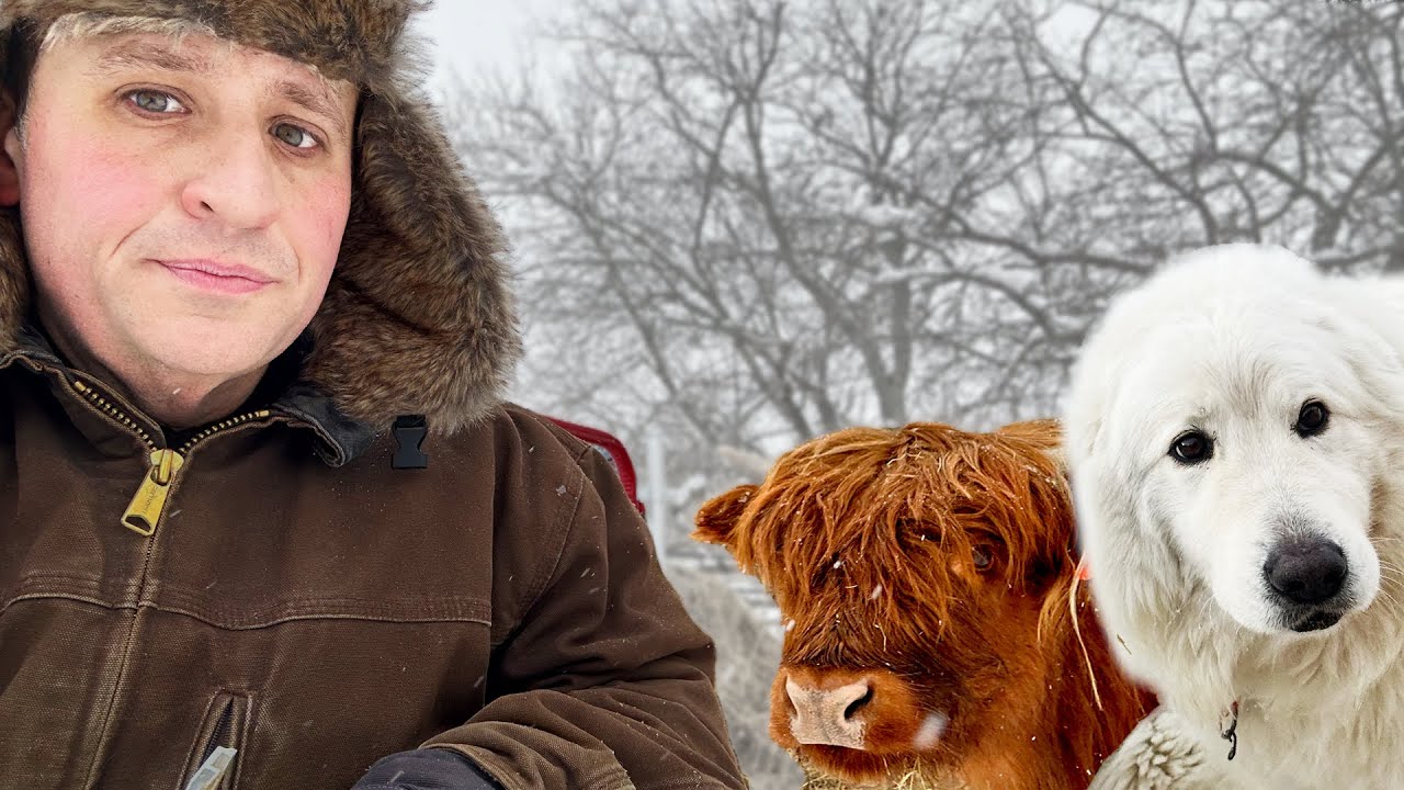 Tranquil farm life after snowstorm calms Vermont property