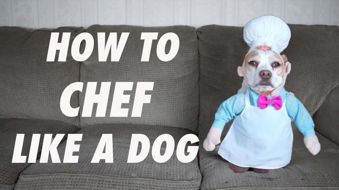 How to Chef Like a Dog: Maymo & Penny‚ Cooking Tips