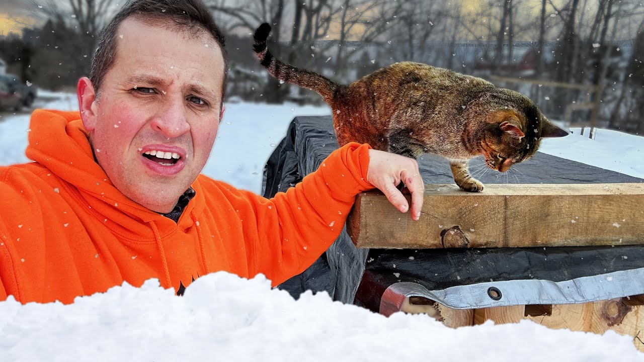 "Farmers Tackle Ambitious Barn Build, Fighting Through Two Feet of Snow"
