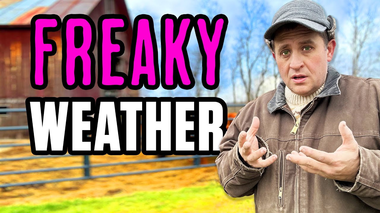 Why there’s no snow in Vermont in December