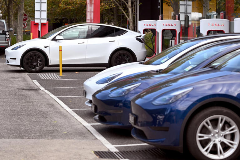 Tesla Stock Is Rising. Analyst Sees ‘Limited’ Focus on Fundamentals. Tesla Stock Is Rising. Analyst Sees ‘Limited’ Focus on Fundamentals.