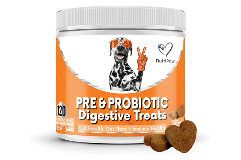 Best probiotics for dogs and why they need them according to a vet