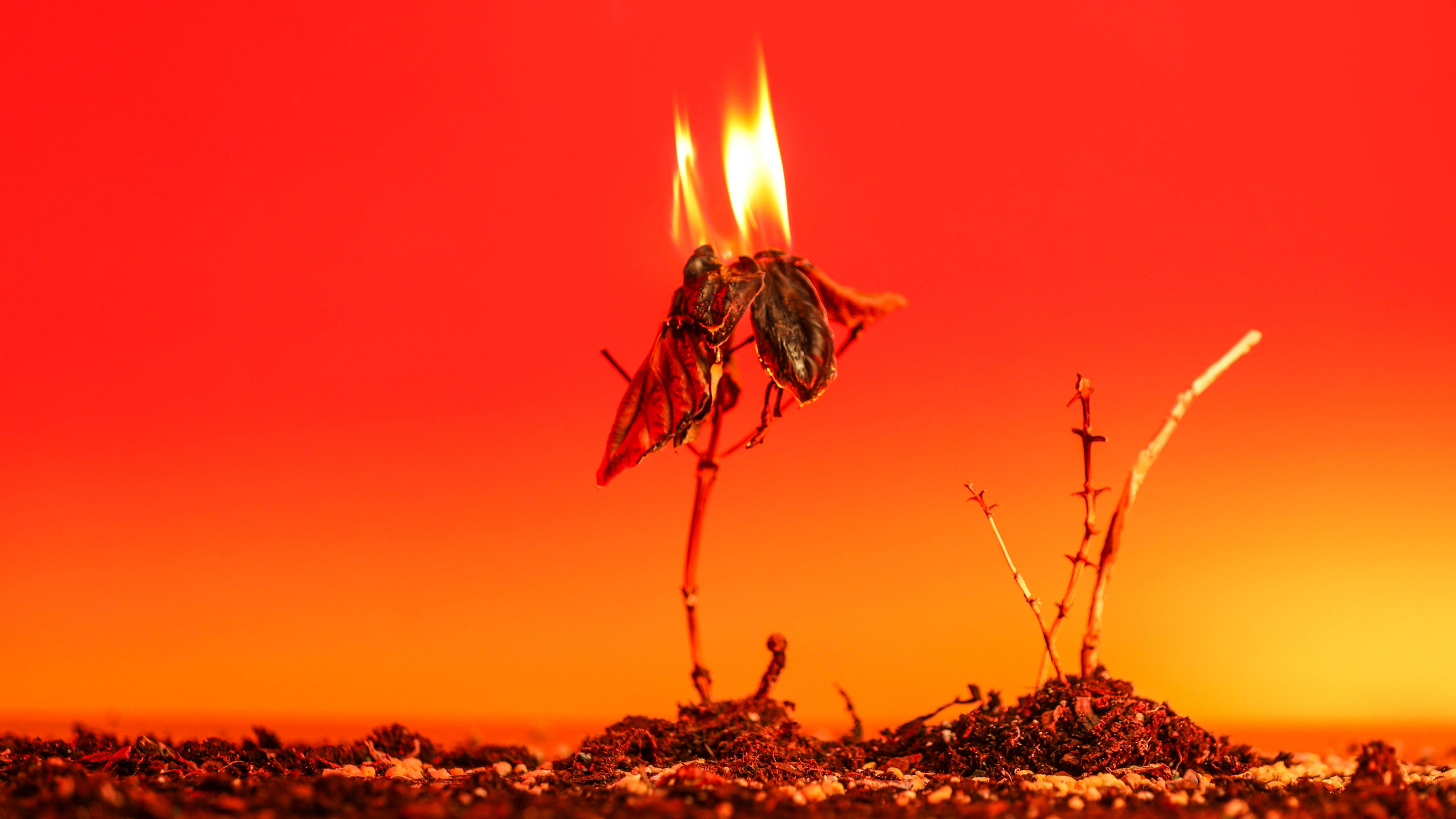 How Dangerous Is the Heat? New Clickable US Map Provides a Warning System How Dangerous Is the Heat? New Clickable US Map Provides a Warning System
