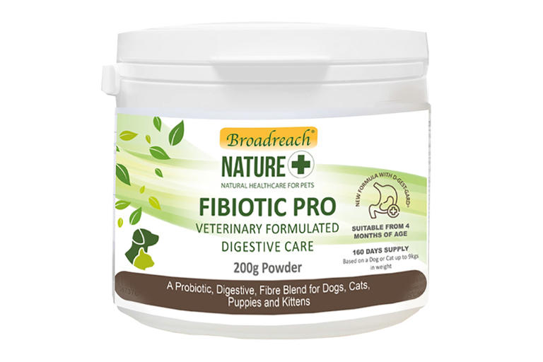 Best probiotics for dogs and why they need them according to a vet