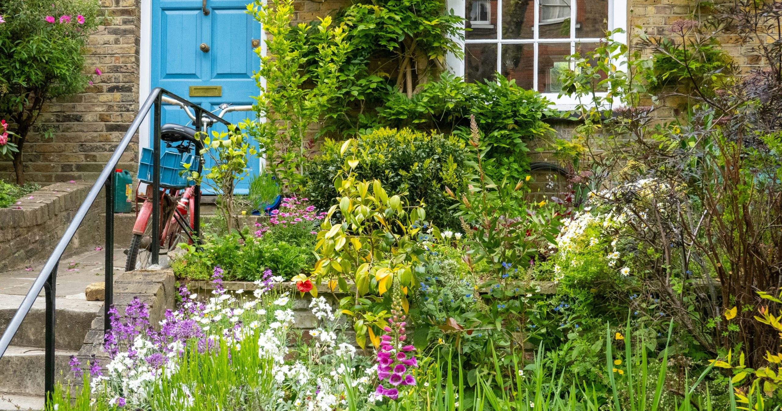 13 Tips On How To Make Your Own Rain Garden