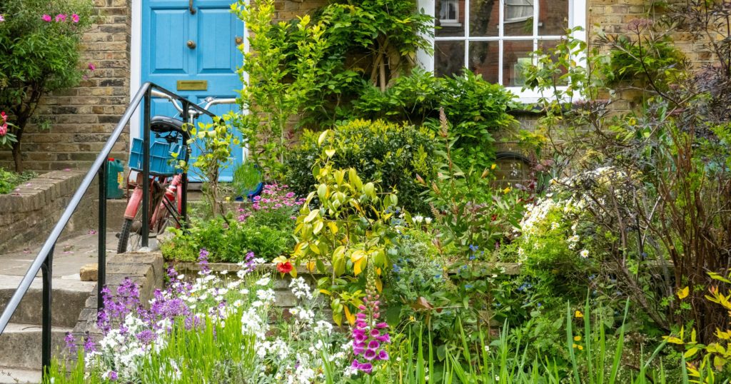 10 Gardening Tips For Growing A Big Impatiens Garden