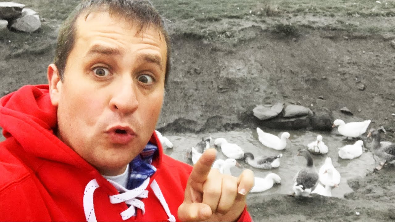 Why the term hobby farm is considered offensive