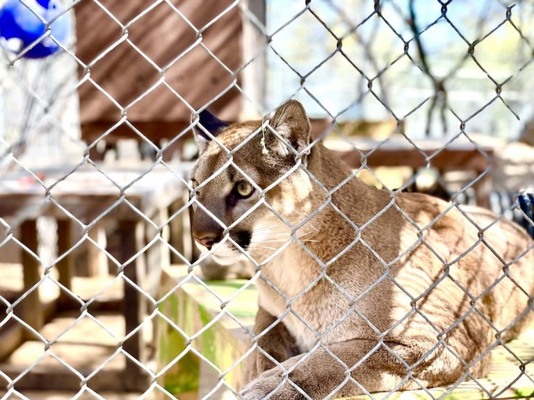 The best things to do in Scottsdale with kids (and Phoenix too)