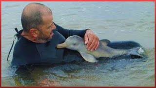 Kind animals asking for help and finding good humans