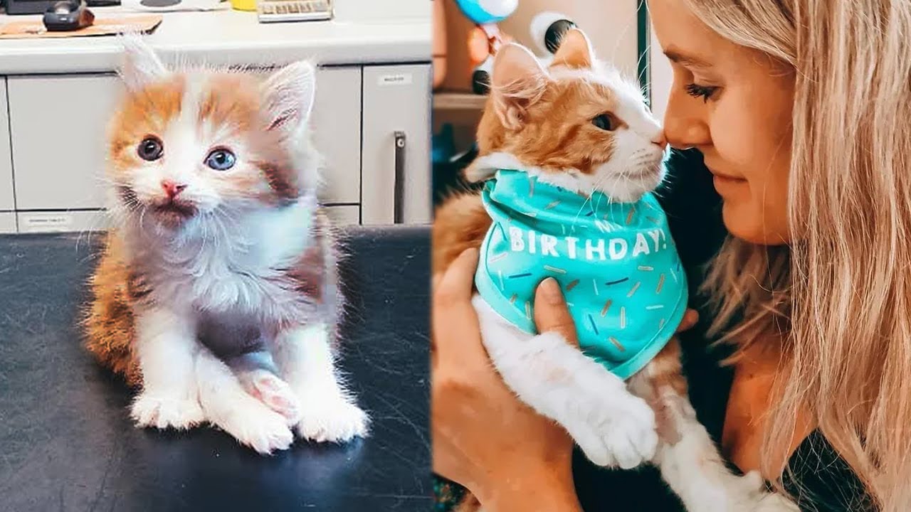 Paralysis Doesn’t Stop Renley From A Little Walk