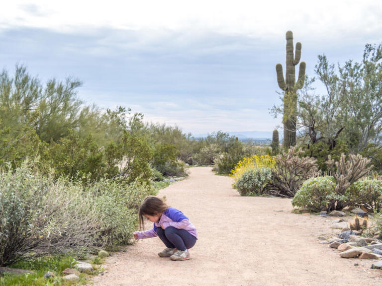 The best things to do in Scottsdale with kids (and Phoenix too)