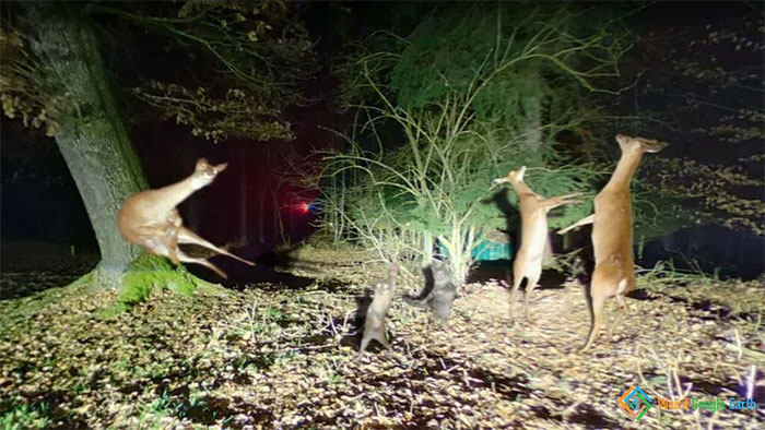 27 Of The Most Amusing And Ridiculous Moments Ever Captured By Google Maps