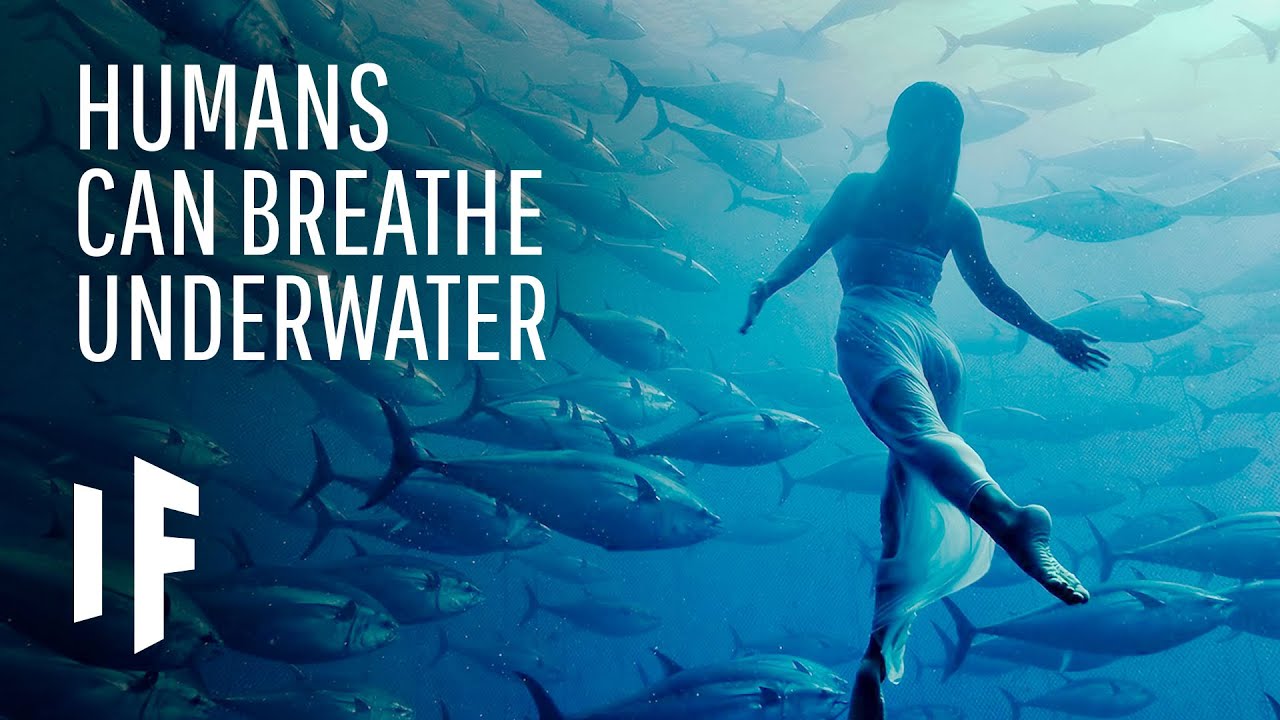 Imagine if humans could breathe underwater