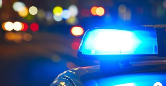 Police say they found 100 pounds of marijuana growing in Grafton home