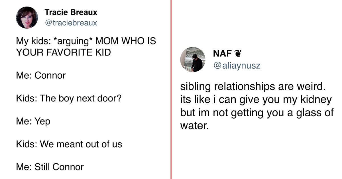 40 Funny Tweets That Capture The Essence Of Sibling Rivalry