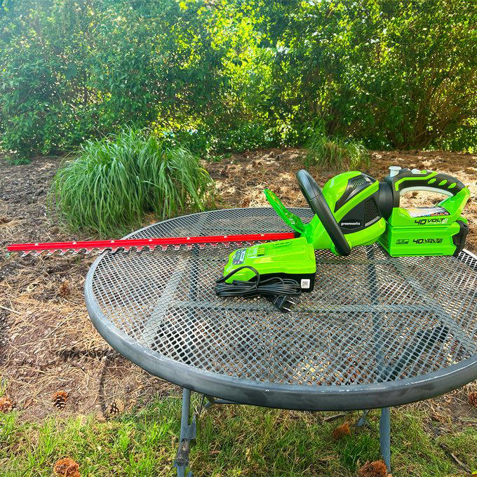 The 6 Best Hedge Trimmers for Shrub and Bush Grooming, According to an ...