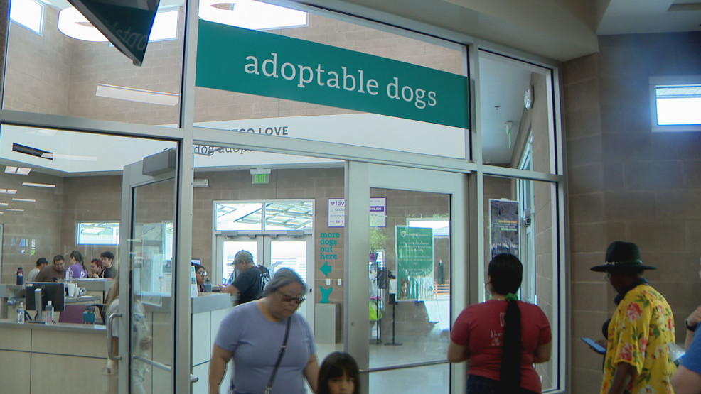 Animal Foundation hosts fee-waived pet adoption weekend event