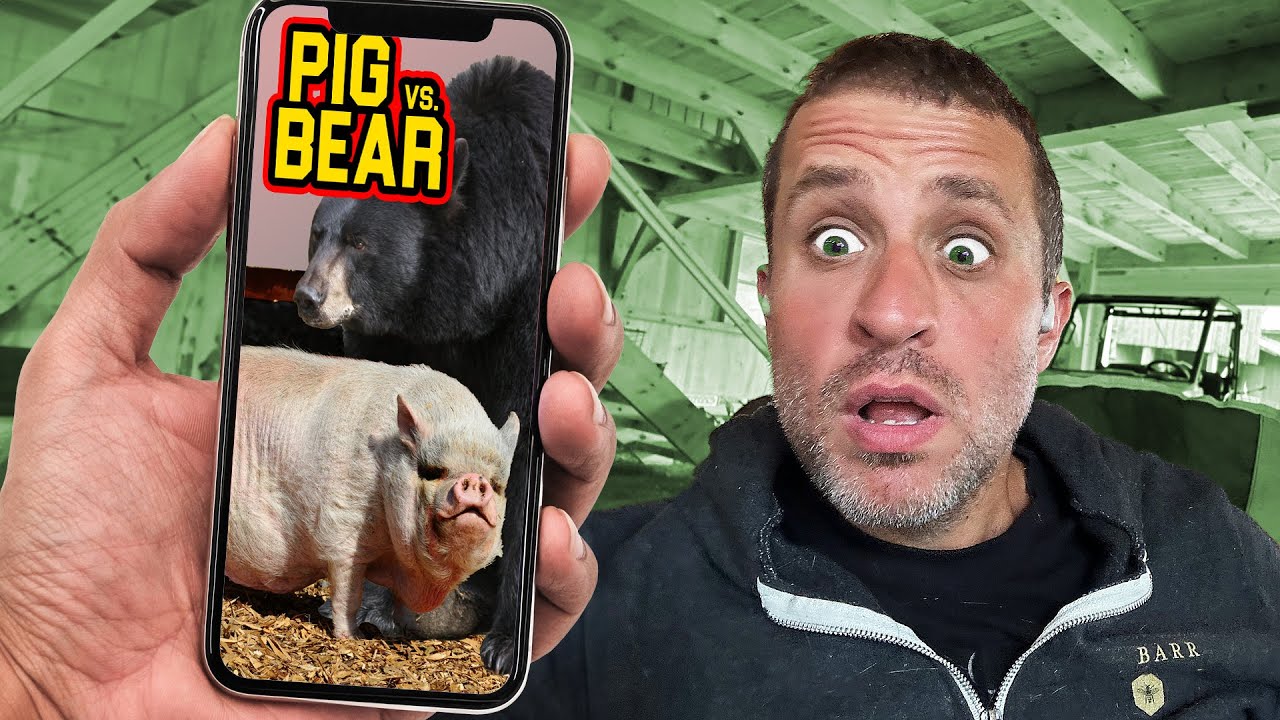 The Strangest Pig Videos You’ll Ever See from Life on the Farm