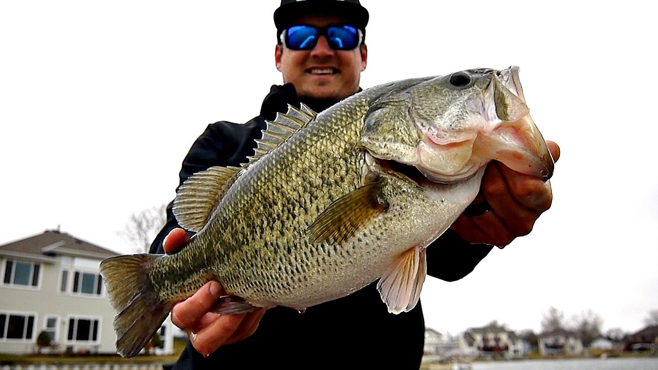 Prespawn Giant Bass: Flipping Tips and Gear Giveaway