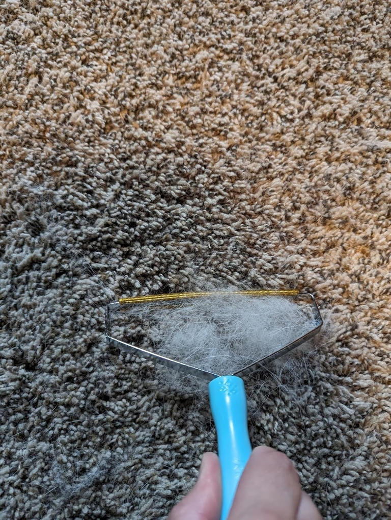 23 Things To Help You Keep Your Home Free From Pet Odors