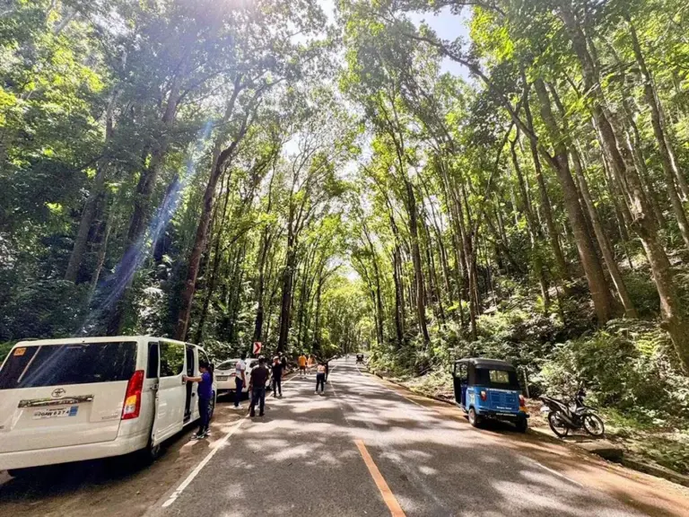 Over 13 Amazing Things to Do in Bohol Philippines