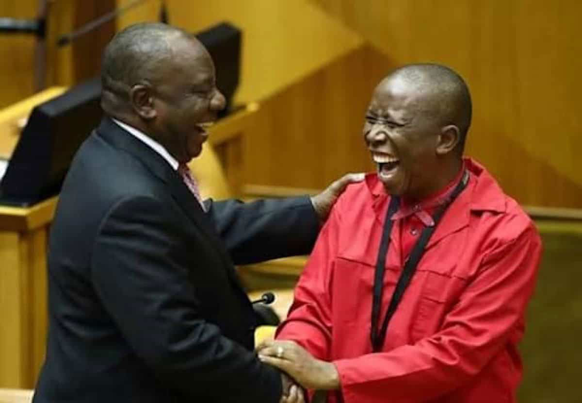 Steenhuisen for president? Malema vows to support motion to remove ... Steenhuisen for president? Malema vows to support motion to remove ...