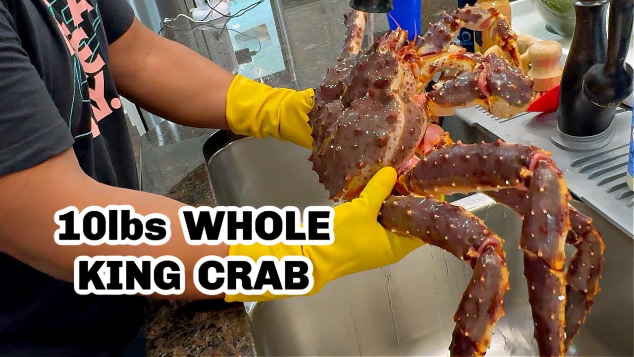 Meet Curtis, the 10lb crab stealing the spotlight
