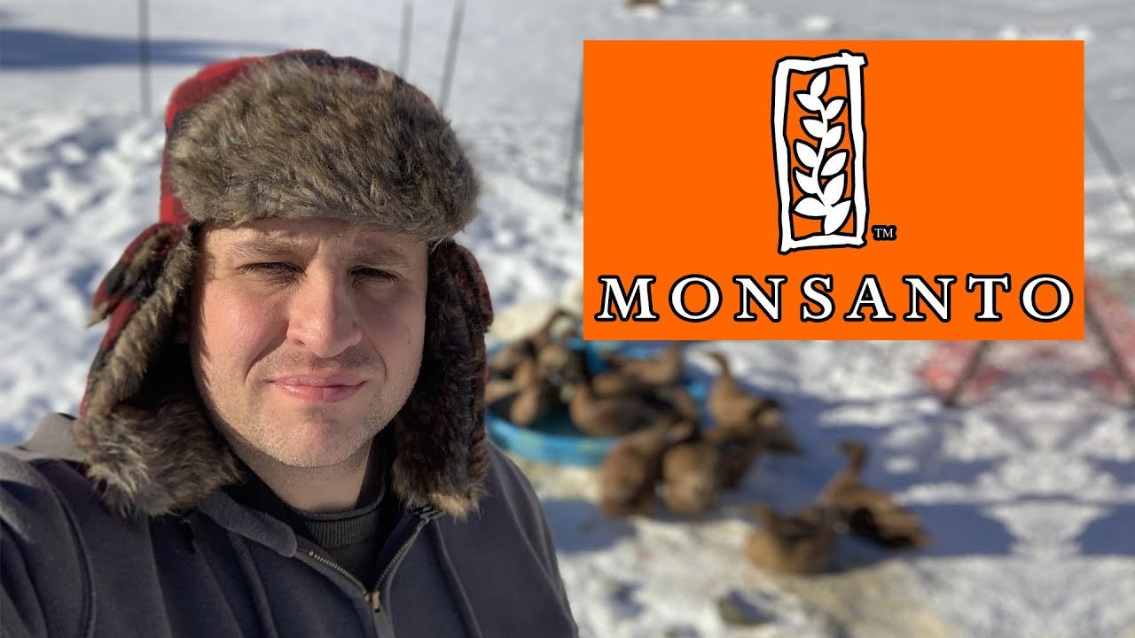 Small farmer exposes sneaky Monsanto and modern agriculture