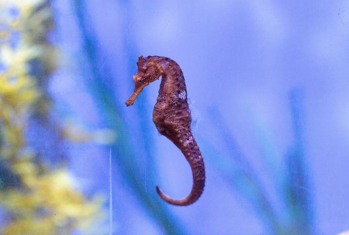 Microplastics: The Invisible Threat Lurking Around Us Microplastics: The Invisible Threat Lurking Around Us