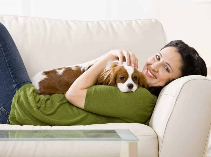 Best cuddly dogs: Top 7 dog breeds that love snuggling