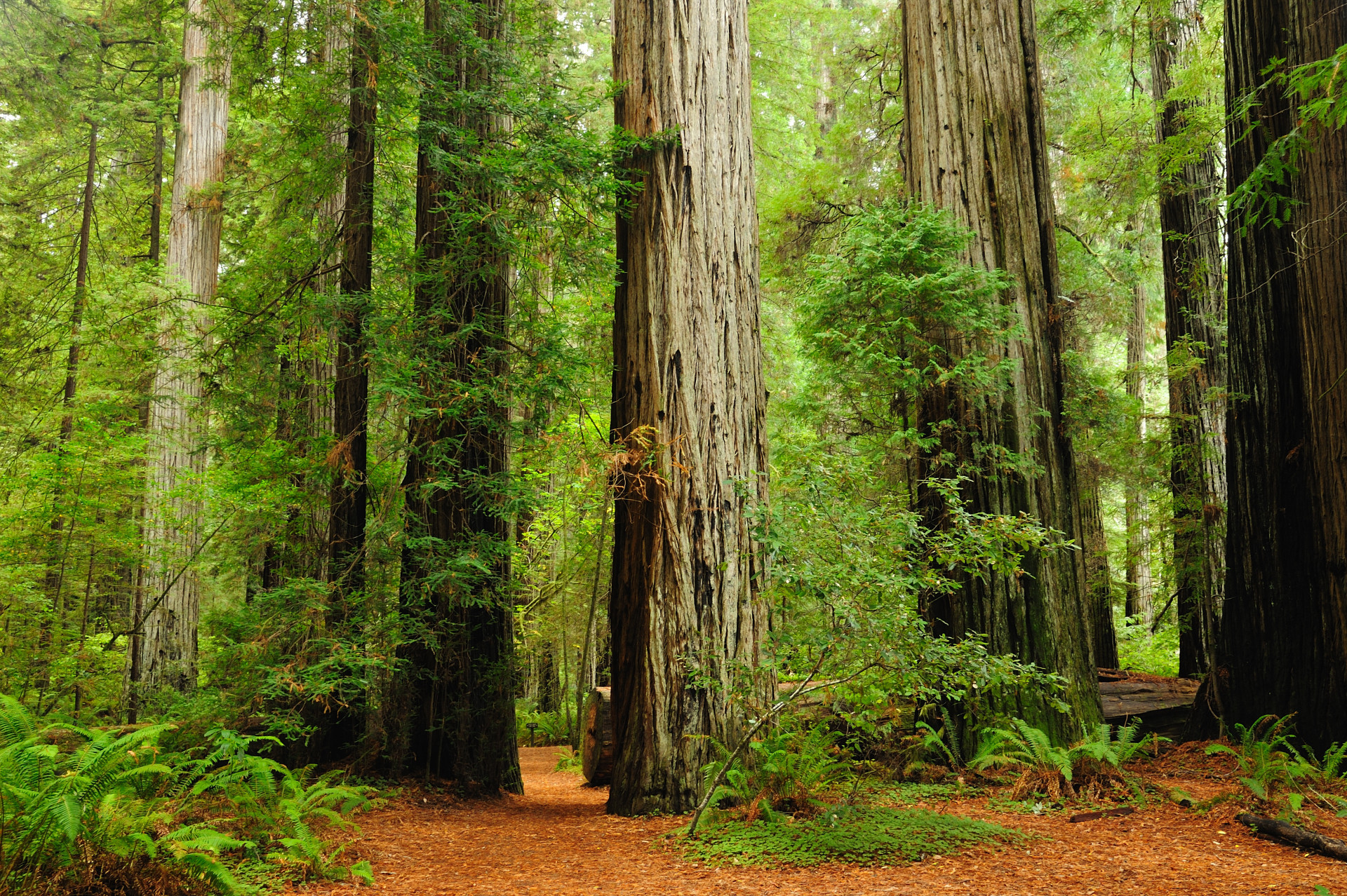 Discover America's 30 most stunning national parks