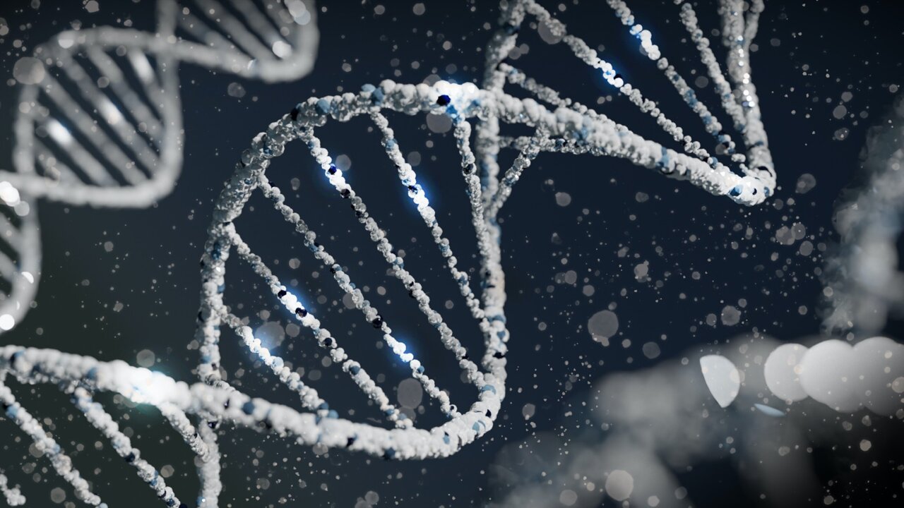 Qatari genetic map reveals over 150,000 structural variants