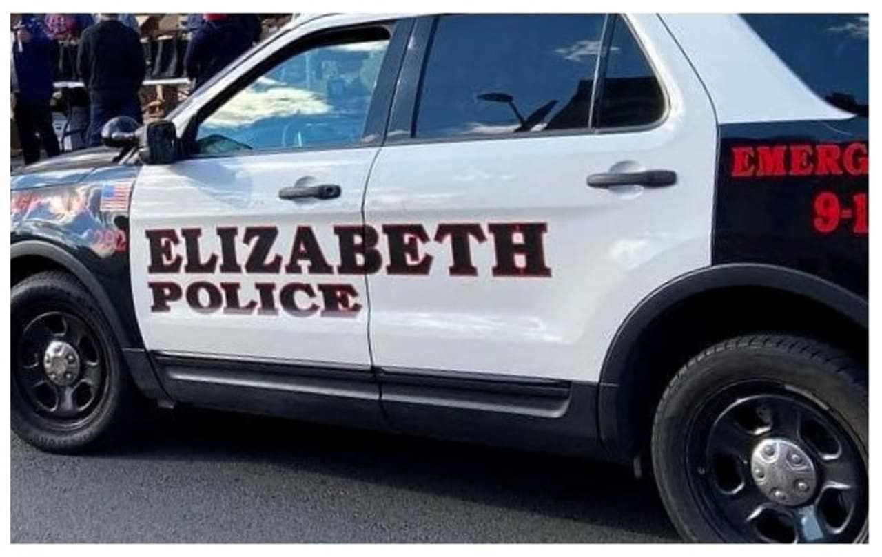 Pit Bull Shot Dead After Attacking Elizabeth Cop: Authorities