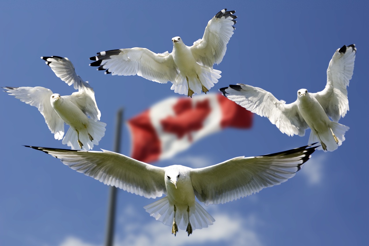 16 weird Canadian habits that make perfect sense to locals