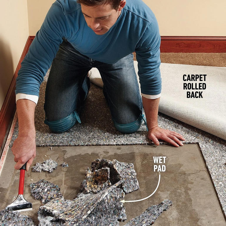 How To Repair a Hole in Carpet and Fix Other Common Problems