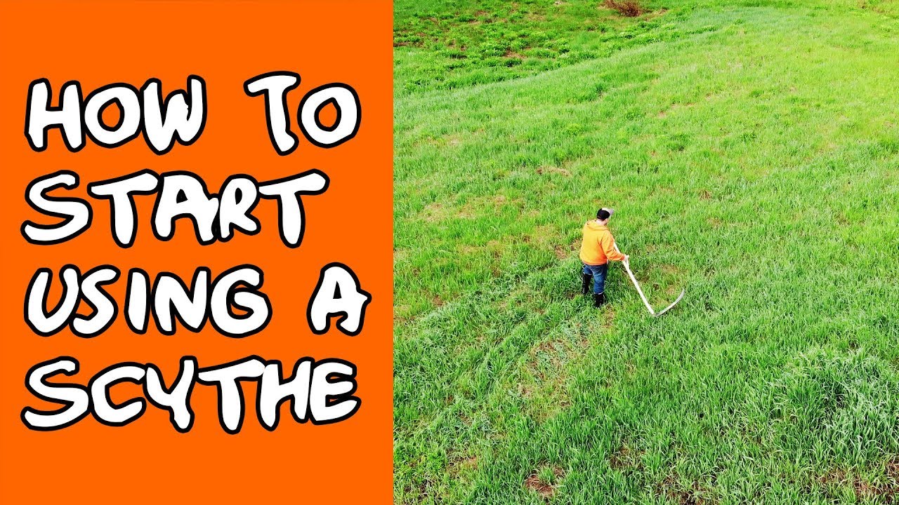 My First Scythe Experience: Harvesting on the Farm