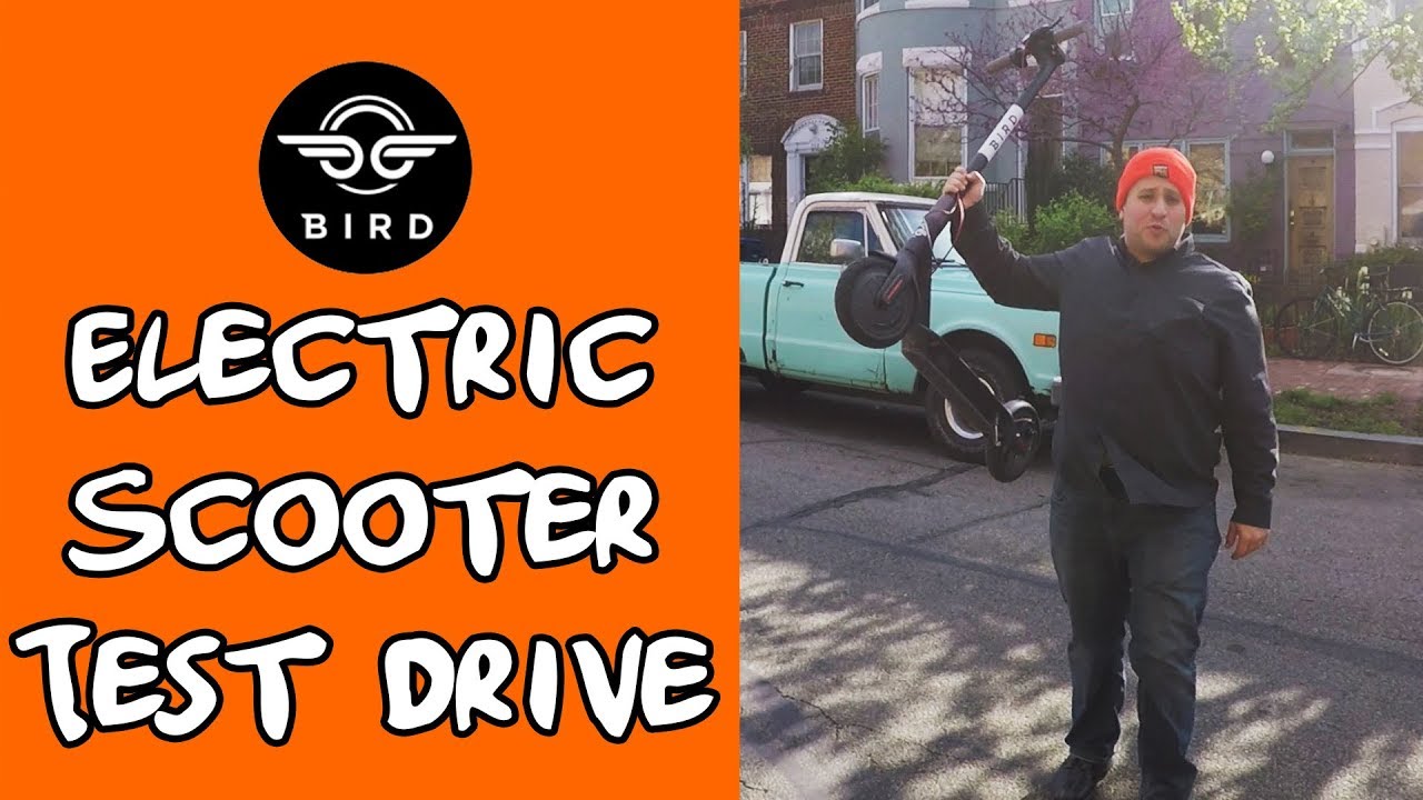 My first ride on a Bird electric scooter ever