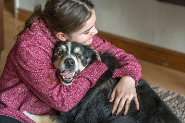 Velcro Dogs: Here are 10 breeds of adorable dog that will stick to ...