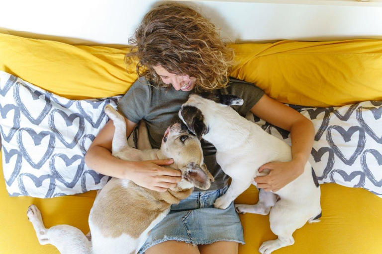 Velcro Dogs 2024: Here are the 10 breeds of adorable dog that will stick to you like glue ...