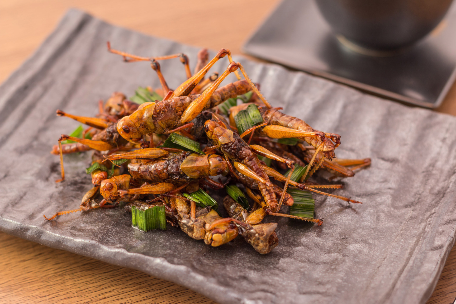 Here's why you should be eating more insects Here's why you should be eating more insects